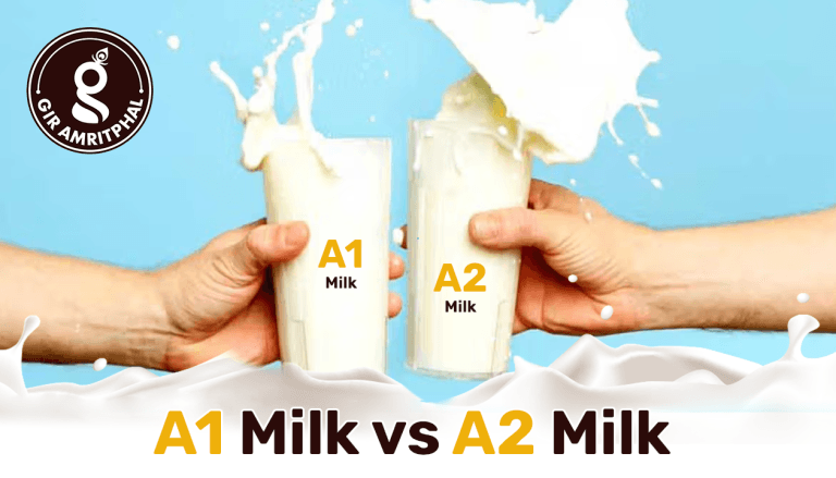 A1 Milk vs A2 Milk: Which Is Better for Your Health? - A2 Ghee