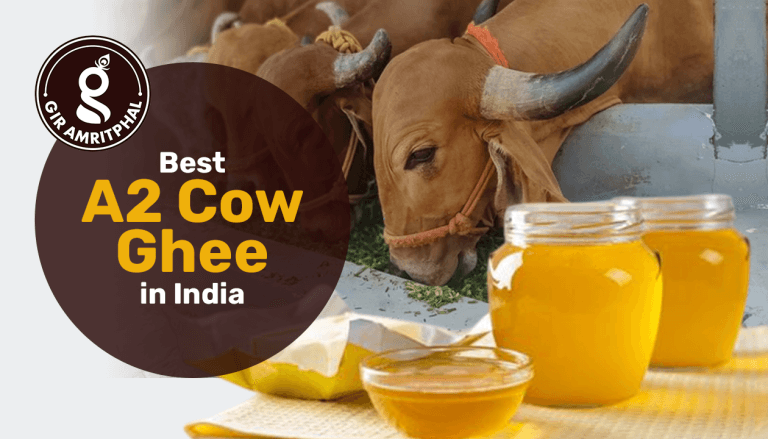 Best A2 Cow Ghee in India - A2 Ghee