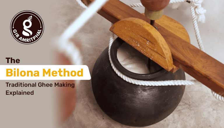 The Bilona Method: Traditional Ghee Making Explained - A2 Ghee